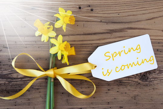 "Spring Is Coming" Images – Browse 2,163 Stock Photos, Vectors, and ...