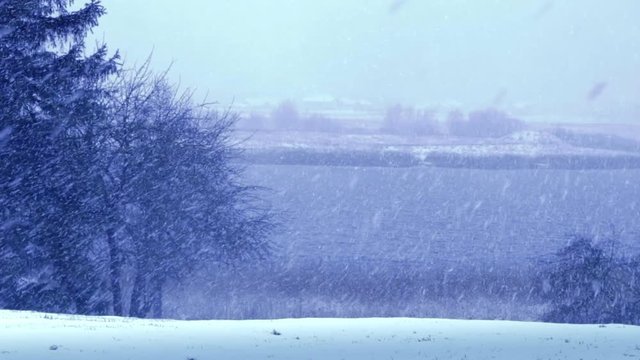 รูปภาพCourd – เลือกดูภาพถ่ายสต็อก เวกเตอร์ และวิดีโอ33 | Adobe Stock