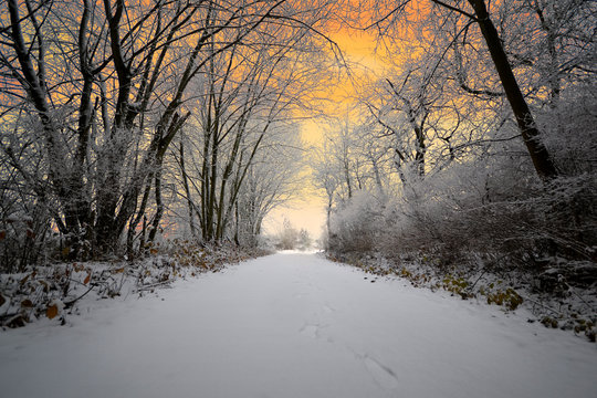 Winterland Images – Parcourir 2,717 le catalogue de photos, vecteurs et ...