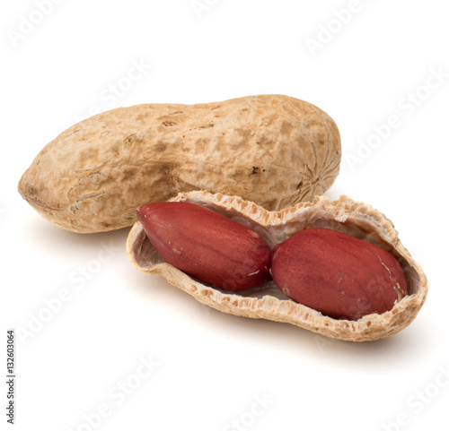 "Opened and whole peanut or groundnut pod isolated on white backg ...