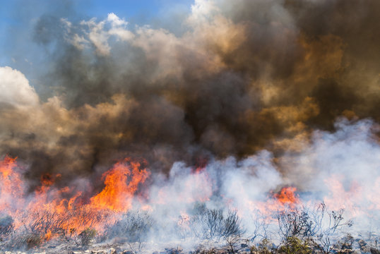 Fire Images – Browse 5,996,079 Stock Photos, Vectors, and Video | Adobe ...