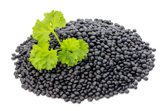 รูปภาพLentin – เลือกดูภาพถ่ายสต็อก เวกเตอร์ และวิดีโอ157 | Adobe Stock