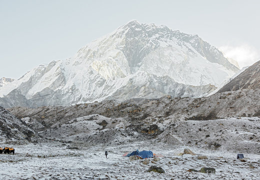 รูปภาพWhitem – เลือกดูภาพถ่ายสต็อก เวกเตอร์ และวิดีโอ295 | Adobe Stock