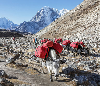 รูปภาพWhitem – เลือกดูภาพถ่ายสต็อก เวกเตอร์ และวิดีโอ295 | Adobe Stock