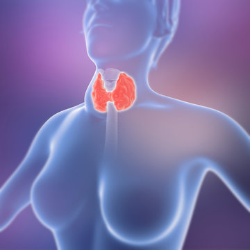 Kropfbildung Images – Browse 9 Stock Photos, Vectors, and Video | Adobe ...