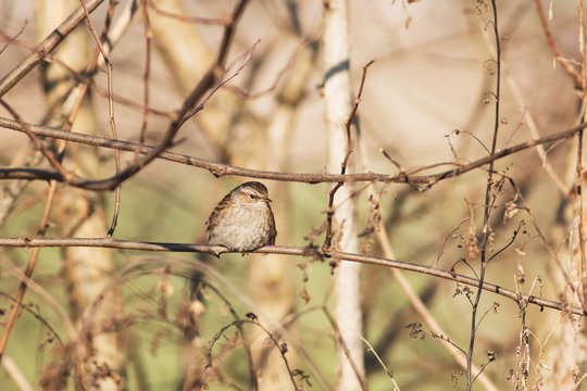 รูปภาพArruffare – เลือกดูภาพถ่ายสต็อก เวกเตอร์ และวิดีโอ11 | Adobe Stock