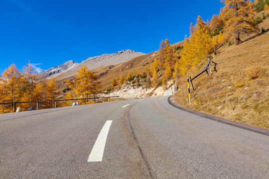 รูปภาพalbulapass เลือกดูภาพถ่ายสต็อก เวกเตอร์ และวิดีโอ762 Adobe Stock