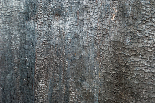 รูปภาพCharred – เลือกดูภาพถ่ายสต็อก เวกเตอร์ และวิดีโอ91,955 | Adobe Stock