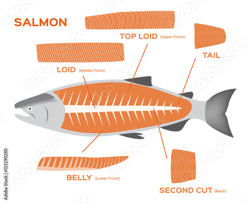 "salmon part vector" Imagens e vetores de stock Royalty Free no Fotolia ...