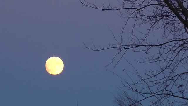 Astrotheme Images – Browse 16 Stock Photos, Vectors, and Video | Adobe ...