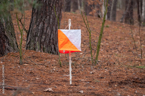 "Control point. Orienteering in the woods, a checkpoint on the ...
