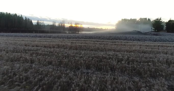 Snappertuna Images – Browse 126 Stock Photos, Vectors, and Video ...