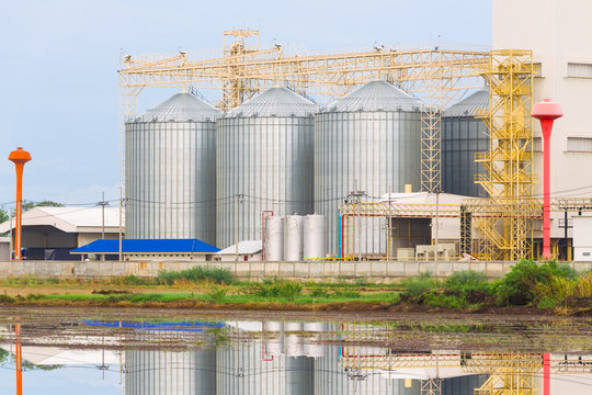 43 BEST Cylos IMAGES, STOCK PHOTOS & VECTORS | Adobe Stock