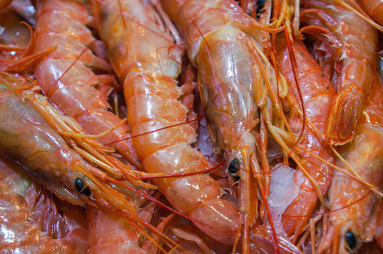 Gambas Images – Browse 8,125 Stock Photos, Vectors, and Video | Adobe Stock