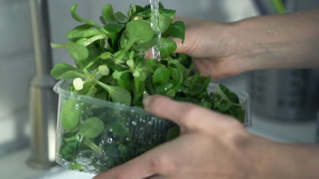 รูปภาพMache – เลือกดูภาพถ่ายสต็อก เวกเตอร์ และวิดีโอ9,638 | Adobe Stock