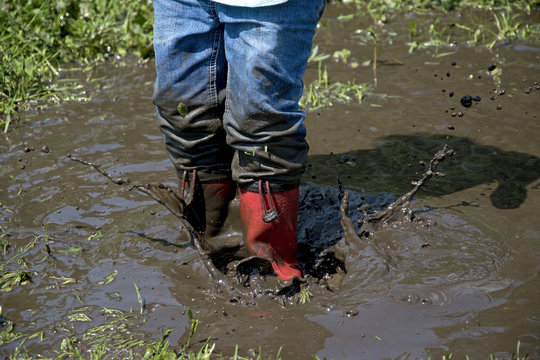 Matsch Bilder – Durchsuchen 4,869 Archivfotos, Vektorgrafiken und ...