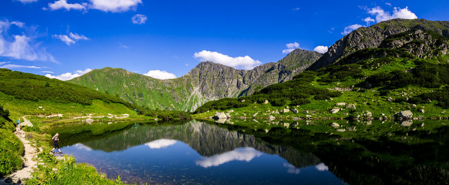 「Plesa」の写真素材 | 309件の無料イラスト画像 | Adobe Stock