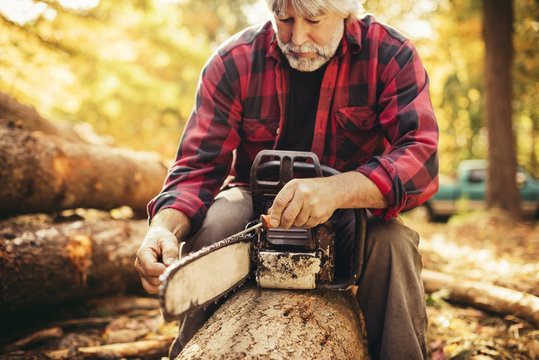 Lumberjacking Images – Parcourir 378,325 le catalogue de photos, vecteurs et vidéos | Adobe Stock