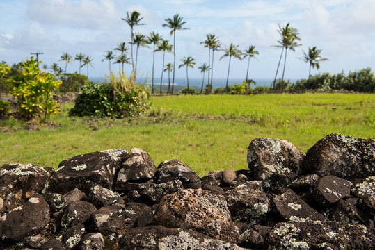 41 BEST Menehune IMAGES, STOCK PHOTOS & VECTORS | Adobe Stock