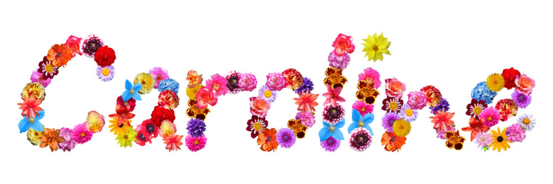 Caroline 이미지 – 찾아보기 1,193 스톡 사진, 벡터 및 비디오 | Adobe Stock