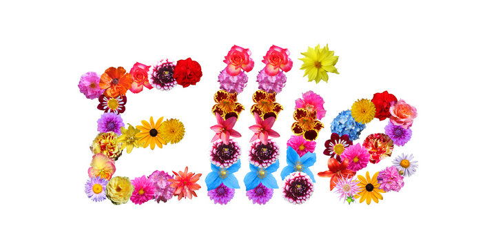 รูปภาพEllie – เลือกดูภาพถ่ายสต็อก เวกเตอร์ และวิดีโอ249 | Adobe Stock