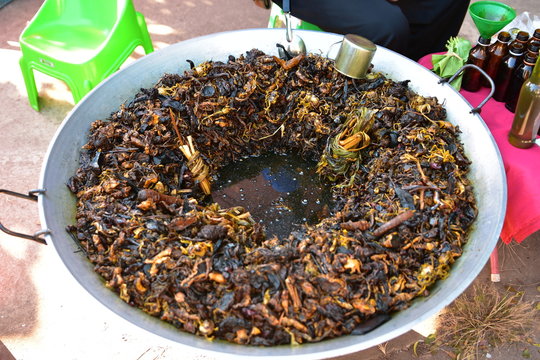 รูปภาพBalut – เลือกดูภาพถ่ายสต็อก เวกเตอร์ และวิดีโอ265 | Adobe Stock