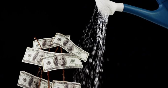 Water Money Images – Browse 249,042 Stock Photos, Vectors, and Video ...