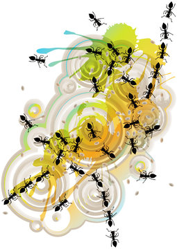Myrmecophobia Images – Browse 74 Stock Photos, Vectors, and Video ...