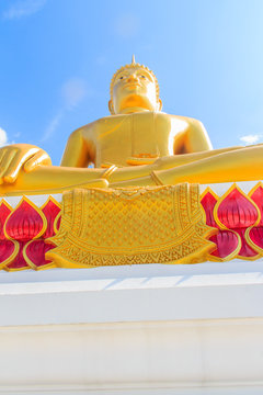 รูปภาพLamduan – เลือกดูภาพถ่ายสต็อก เวกเตอร์ และวิดีโอ238 | Adobe Stock