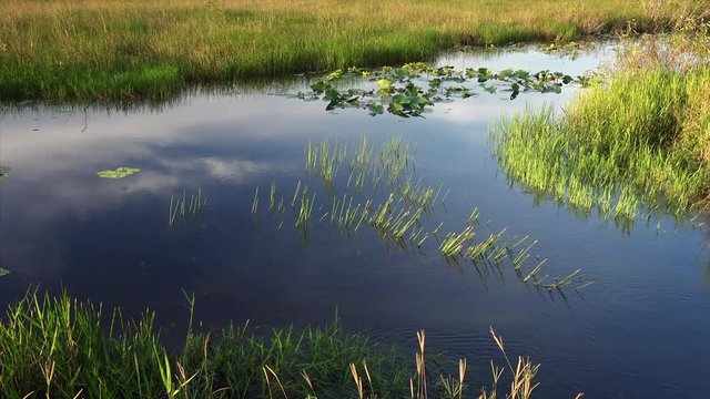 "Everglades National Park" Images – Browse 6,335 Stock Photos, Vectors ...
