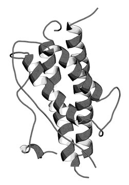 รูปภาพHgh – เลือกดูภาพถ่ายสต็อก เวกเตอร์ และวิดีโอ8,952 | Adobe Stock