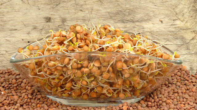 รูปภาพKeimend – เลือกดูภาพถ่ายสต็อก เวกเตอร์ และวิดีโอ138 | Adobe Stock