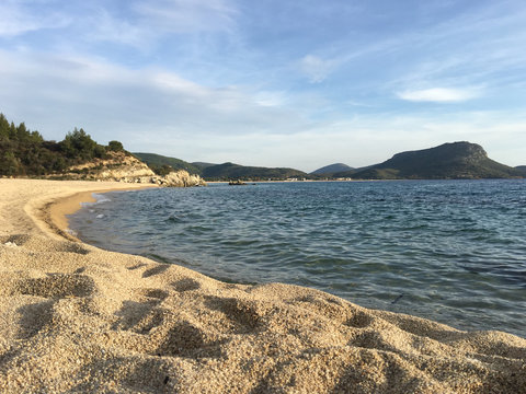 รูปภาพToroni – เลือกดูภาพถ่ายสต็อก เวกเตอร์ และวิดีโอ484 | Adobe Stock