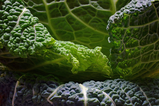 รูปภาพKopfkohl – เลือกดูภาพถ่ายสต็อก เวกเตอร์ และวิดีโอ201 | Adobe Stock