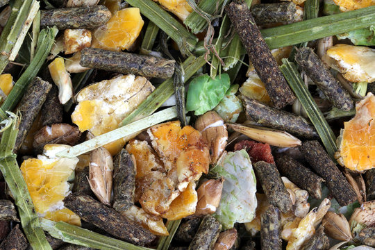 Kaninchenfutter Images – Browse 78 Stock Photos, Vectors, and Video ...