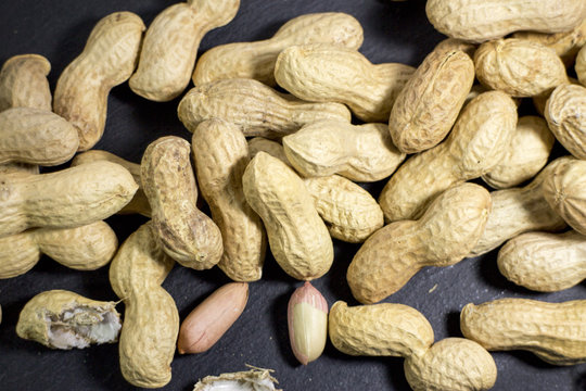 Bagigi Immagini - Sfoglia 1,902 foto, vettoriali e video Stock | Adobe ...