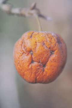 รูปภาพRunzelig – เลือกดูภาพถ่ายสต็อก เวกเตอร์ และวิดีโอ369 | Adobe Stock