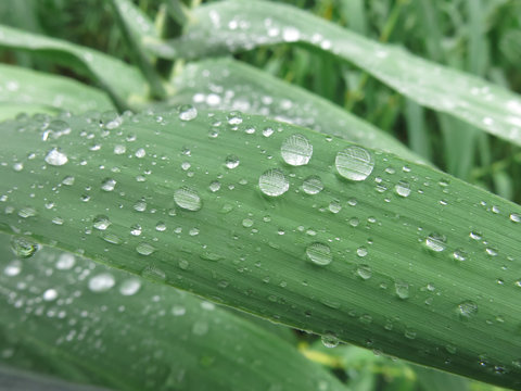 「Umido」の画像 - 3,382 件の Stock 写真、ベクターおよびビデオ | Adobe Stock