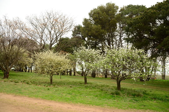 รูปภาพAfforest – เลือกดูภาพถ่ายสต็อก เวกเตอร์ และวิดีโอ40,939 | Adobe Stock