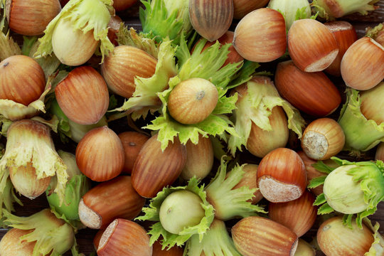 Hazelnut Images – Browse 4,796 Stock Photos, Vectors, and Video | Adobe ...