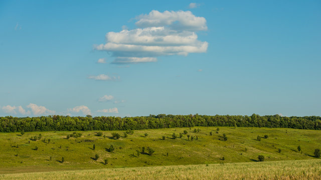 รูปภาพForest-Steppe – เลือกดูภาพถ่ายสต็อก เวกเตอร์ และวิดีโอ1,474 ...