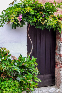 "Short Tree" Images – Browse 20 Stock Photos, Vectors, and Video ...