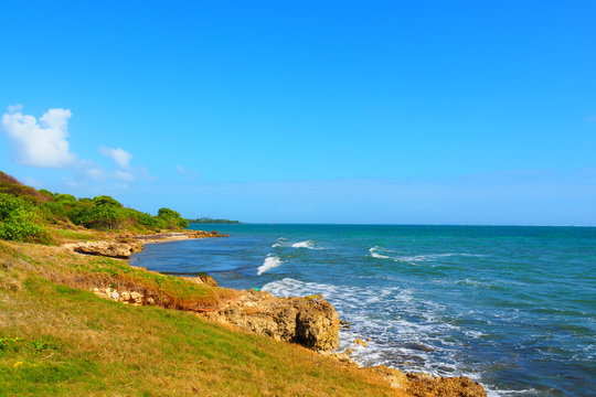 「Faula」の写真素材 | 62件の無料イラスト画像 | Adobe Stock