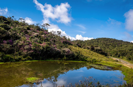 Nelu 影像 – 瀏覽 8 個素材庫相片、向量圖和影片 | Adobe Stock