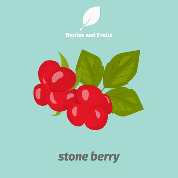 Stoneberry Images – Browse 18 Stock Photos, Vectors, and Video | Adobe ...