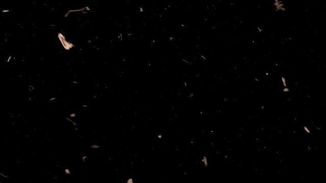 Debris Images – Browse 279,896 Stock Photos, Vectors, and Video | Adobe ...