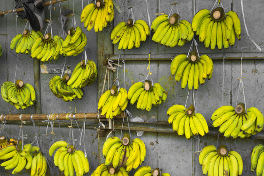 Pisang Изображения: просматривайте стоковые фотографии, векторные ...