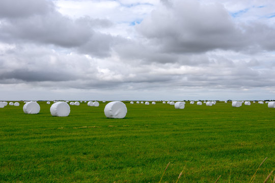 "Drying Hay" Images – Browse 180 Stock Photos, Vectors, and Video ...