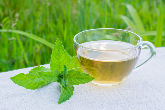 Mentheae Bilder – Durchsuchen 278 Archivfotos, Vektorgrafiken und ...