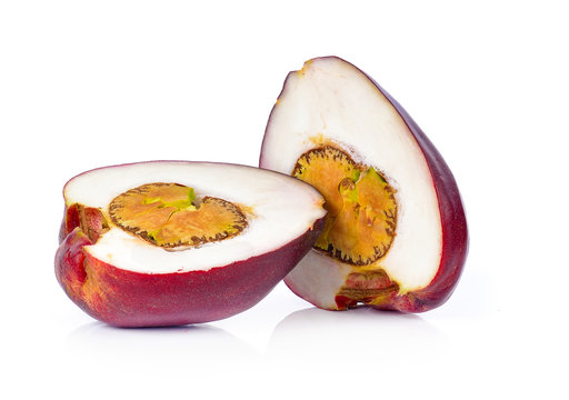 รูปภาพPomerac – เลือกดูภาพถ่ายสต็อก เวกเตอร์ และวิดีโอ137 | Adobe Stock